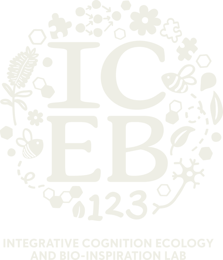 Lab news – ICEB (Howard) lab
